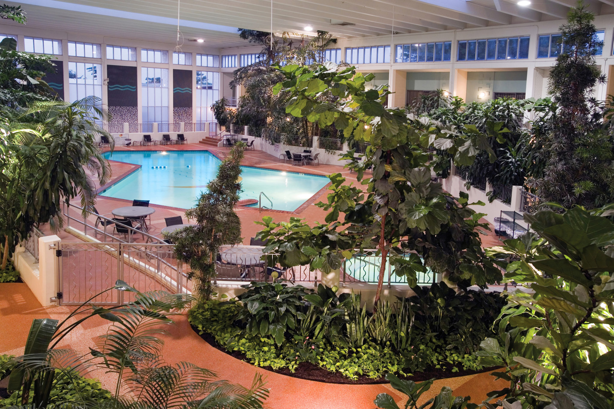 Family Fun at the Oasis | Oasis Hotel & Convention Center